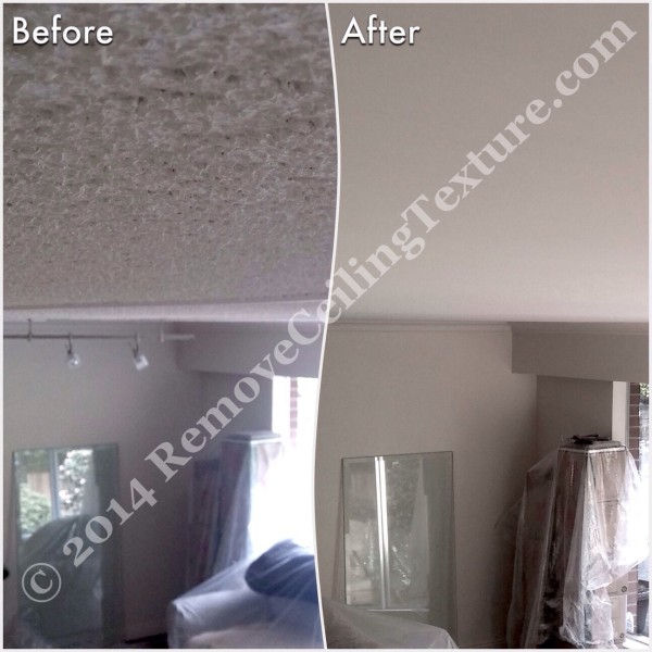 Love Your Smooth Ceilings - RemoveCeilingTexture.com